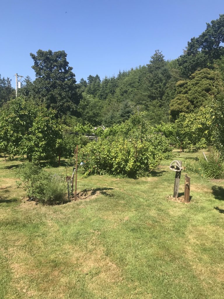 Planting Fruit Trees - Urban Homsteading PDX