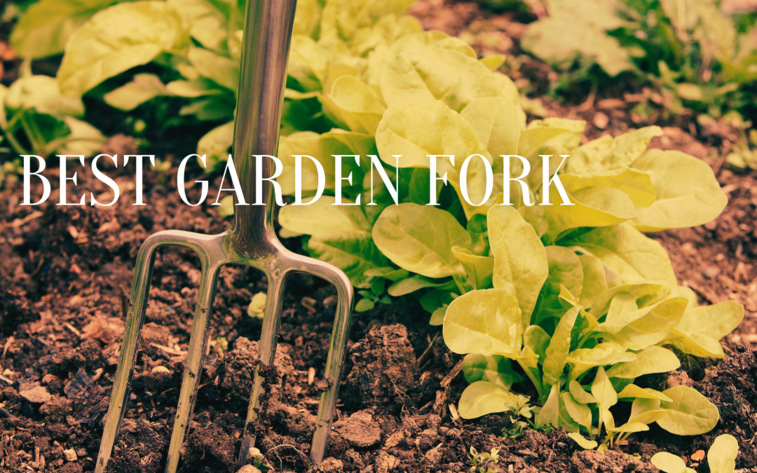 Best Garden Fork - Urban Homsteading PDX