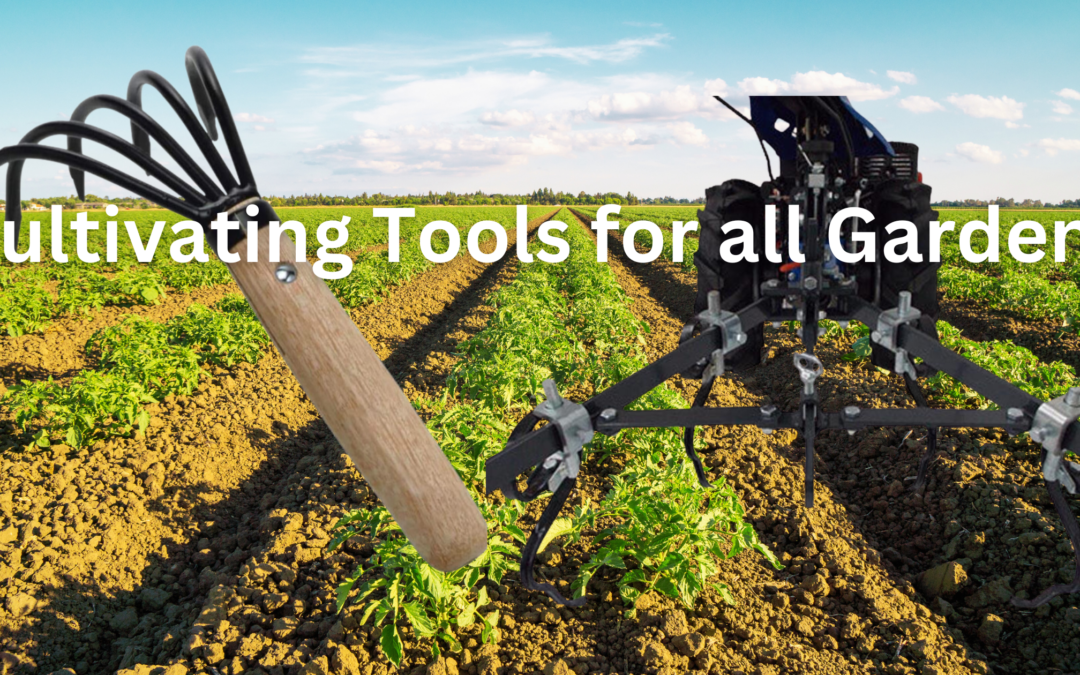 Community Garden - Urban Homsteading PDX