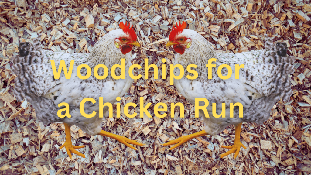Woodchips for Chicken Run - Urban Homsteading PDX